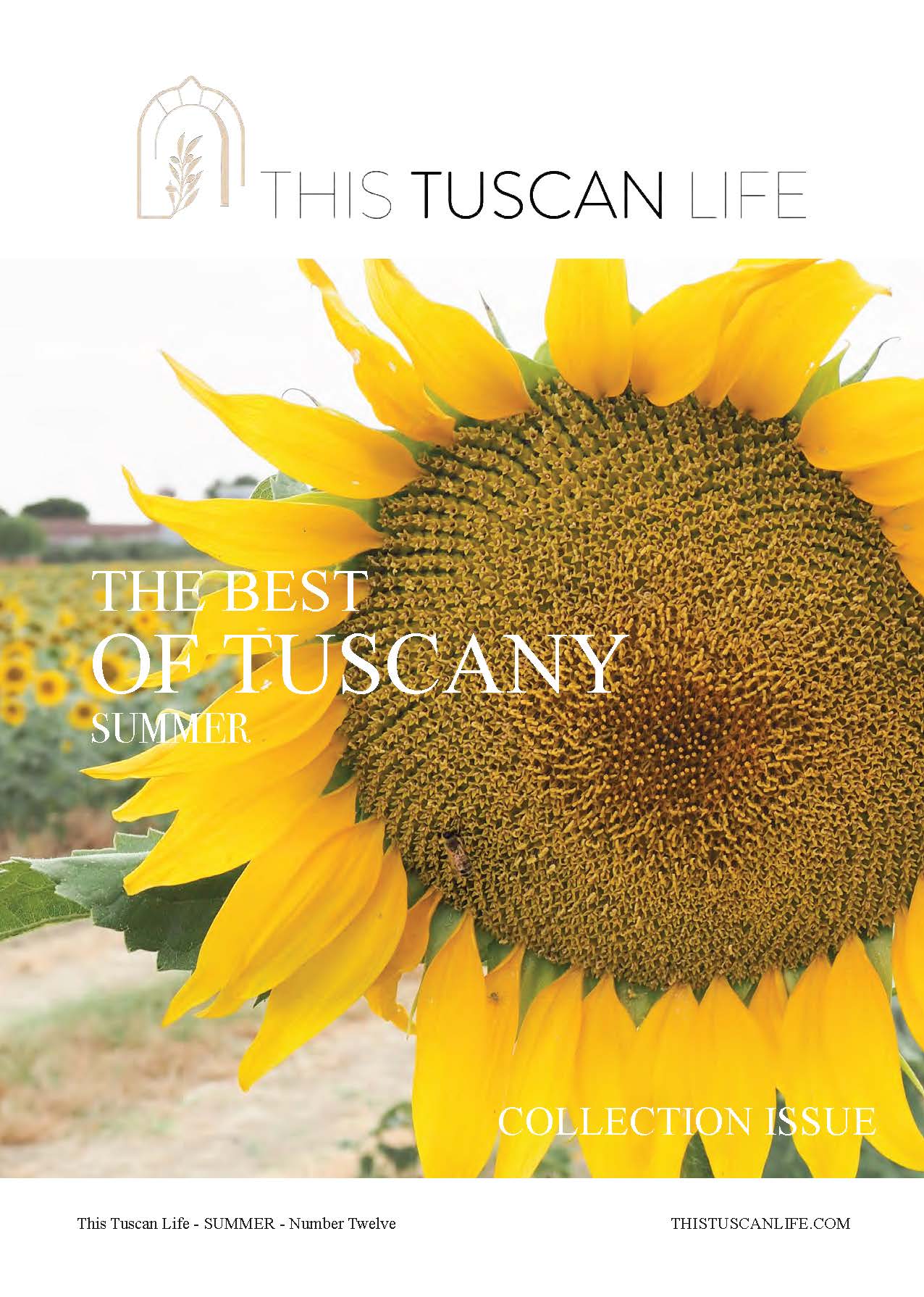 A YEAR IN TUSCANY | THIS TUSCAN LIFE
