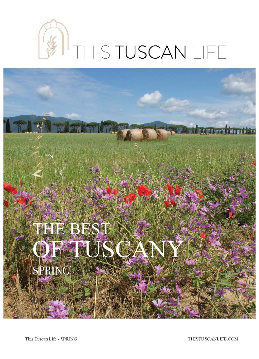 A YEAR IN TUSCANY | THIS TUSCAN LIFE