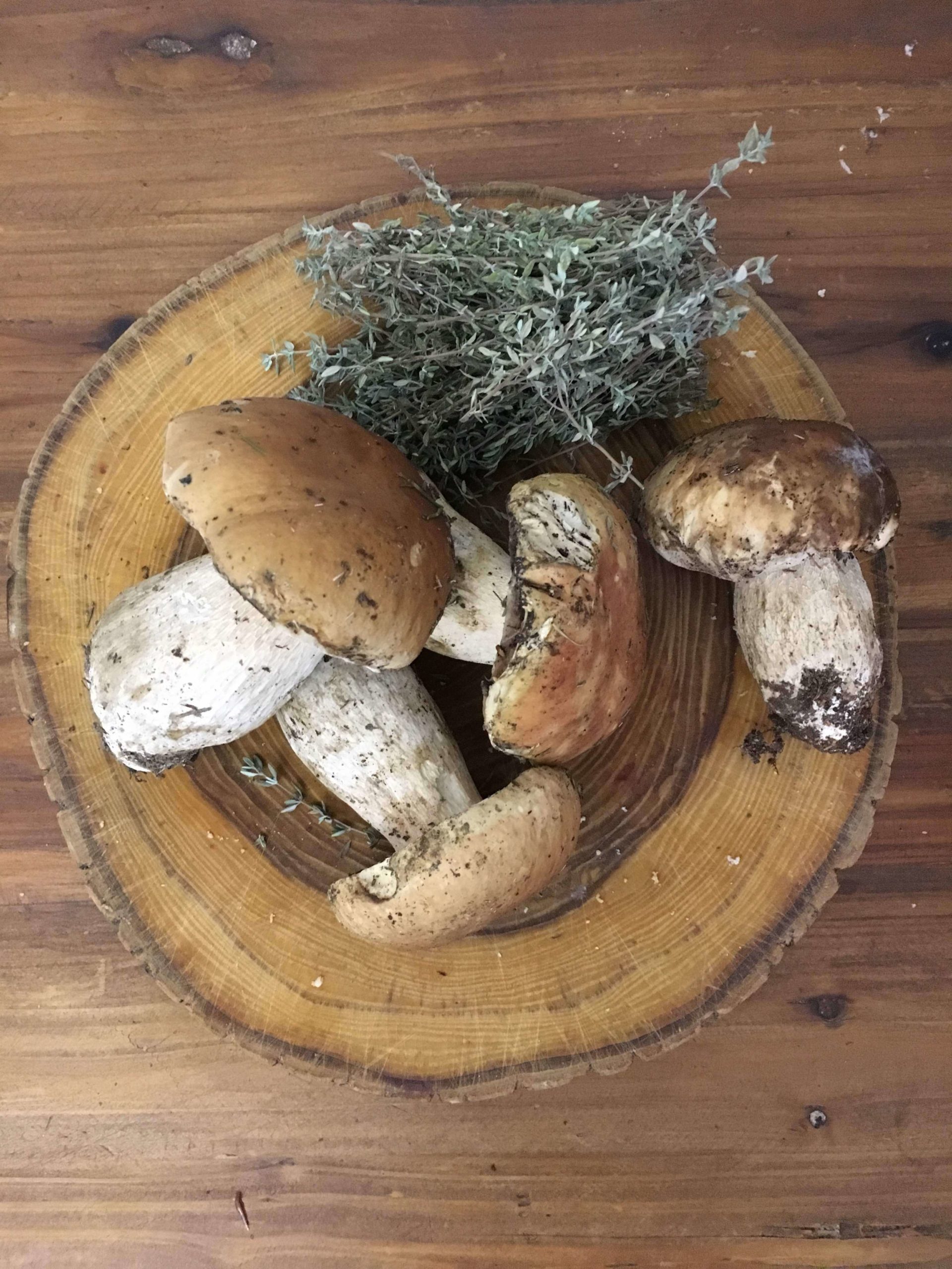 il PORCINO | THIS TUSCAN LIFE